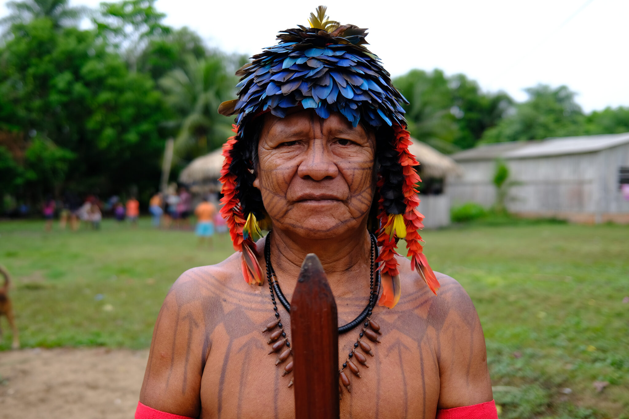 Demarcação da Terra Indígena Sawré Muybu: uma vitória histórica para o ...